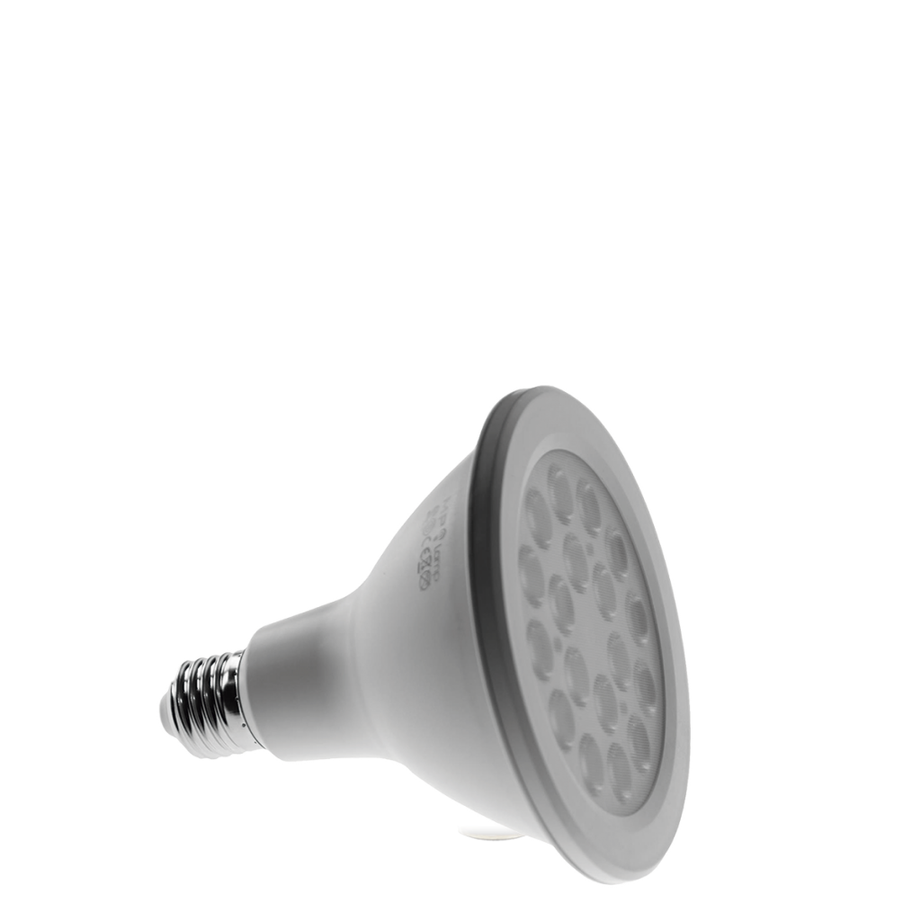 LED Par38 SP Color • MP Lamp